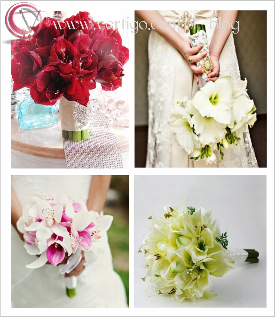 Not only an amaryllis bouquet! | Vertigo.com.pl